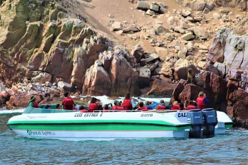 Paracas : TOUR EN BATEAU VITESSE DANS LES ILES BALLESTAS | GetYourGuide