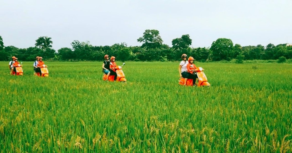 Rode rivierdelta & plattelandsdorpje met vrouwelijke Ao dai ruiters ...