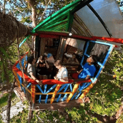 Private Los Haitises + Yanigua Waterfall + Montaña Redonda | GetYourGuide