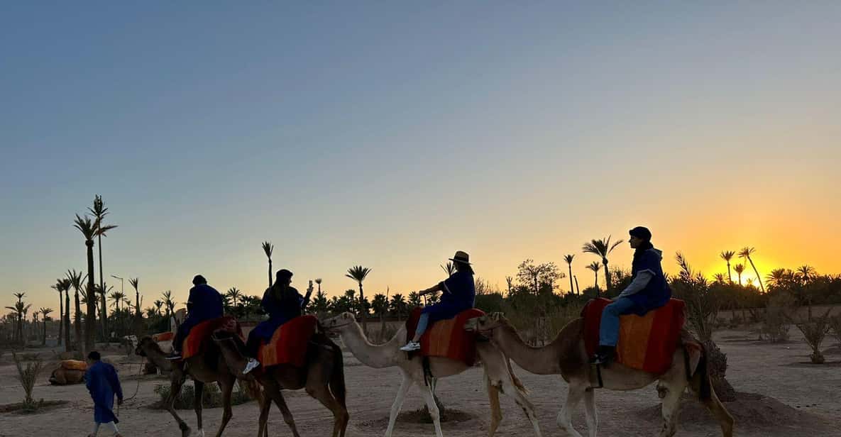 Camel Ride Adventure in Palmeraie, Marrakech at Sunset | GetYourGuide
