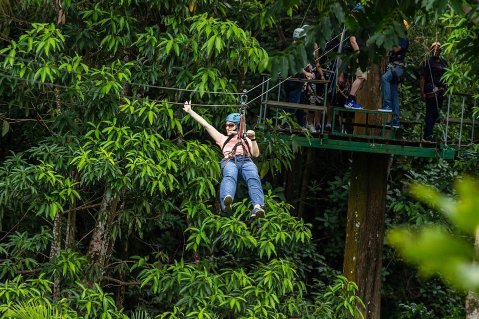 Zipline over the dunns river falls adventure | GetYourGuide