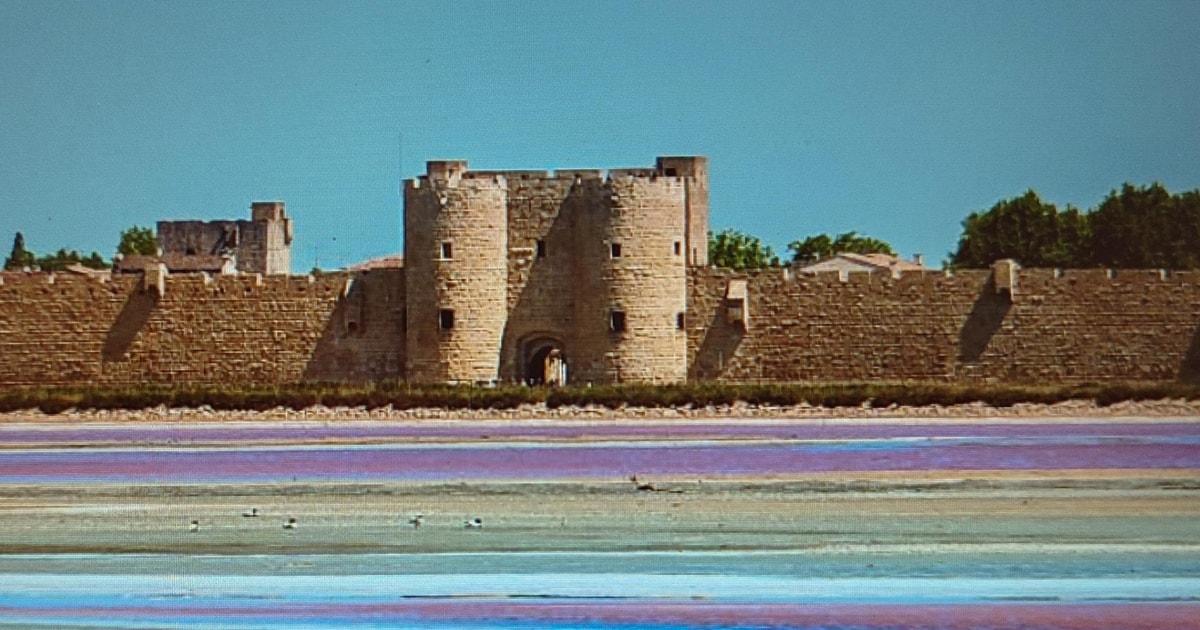 GUIDED TOURS CAMARGUE GETAWAY | GetYourGuide