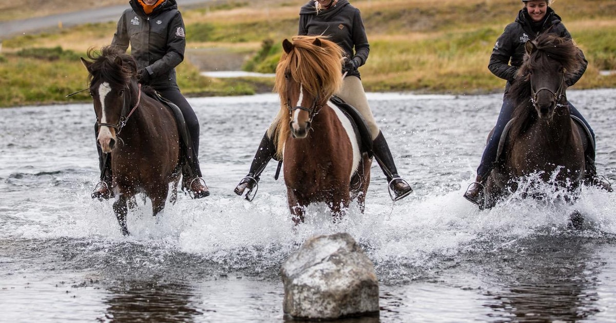 Varmahlid: 1-Hour Icelandic Horse Riding Tour | GetYourGuide