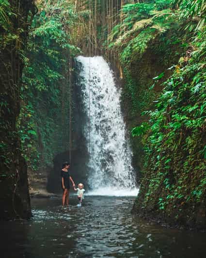 Ubud: Discover Hidden Rainforest Waterfalls & Rice Terrace | GetYourGuide