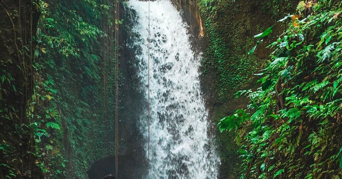 Ubud: Discover Hidden Rainforest Waterfalls & Rice Terrace | GetYourGuide