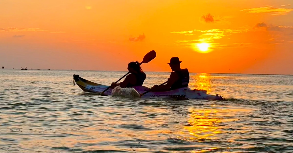 Holbox: Kajak-tur i mangrove ved solnedgang | GetYourGuide