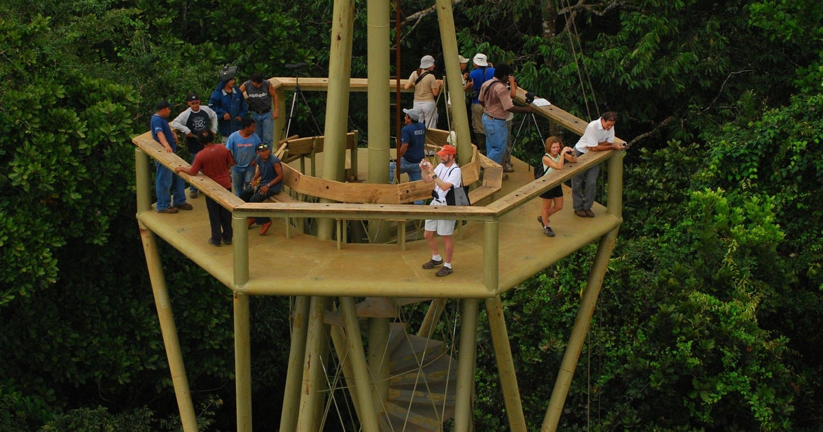 Observação de pássaros na Pipeline Road Gamboa Town and Discovery ...