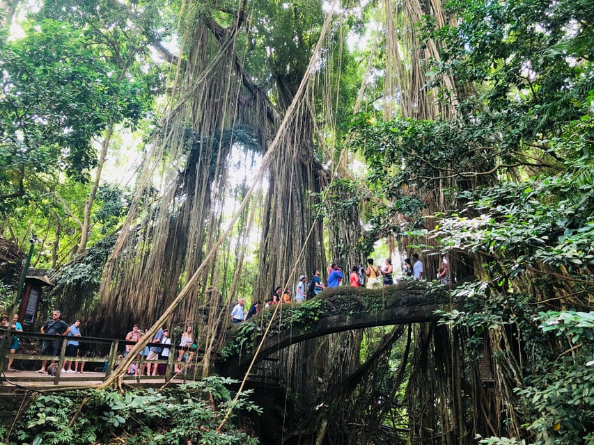 Traditional Bali Art and Shopping Tour in Ubud | GetYourGuide