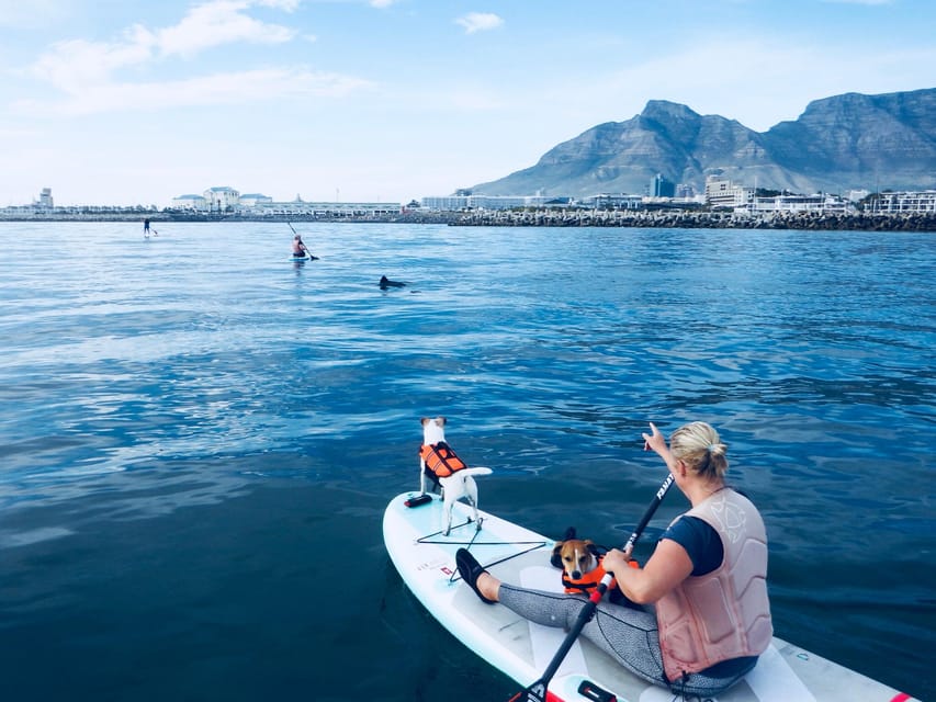 SUP Ocean Tour | GetYourGuide