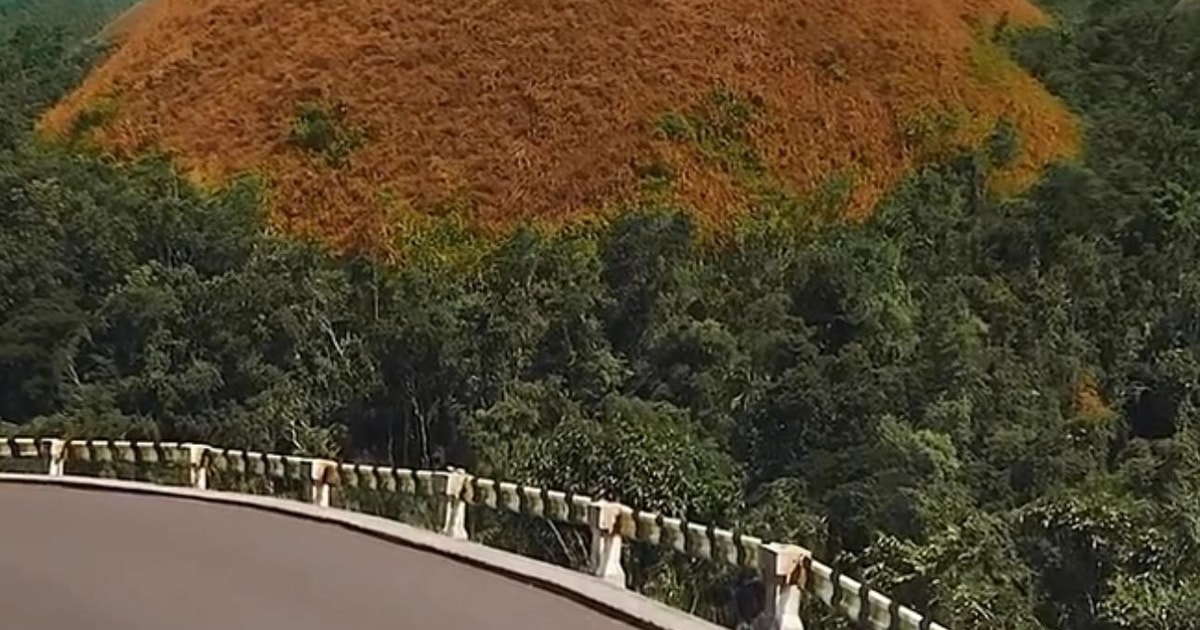 Bohol: 3-Tages-Paket mit Walhaien & Chocolate Hills | GetYourGuide
