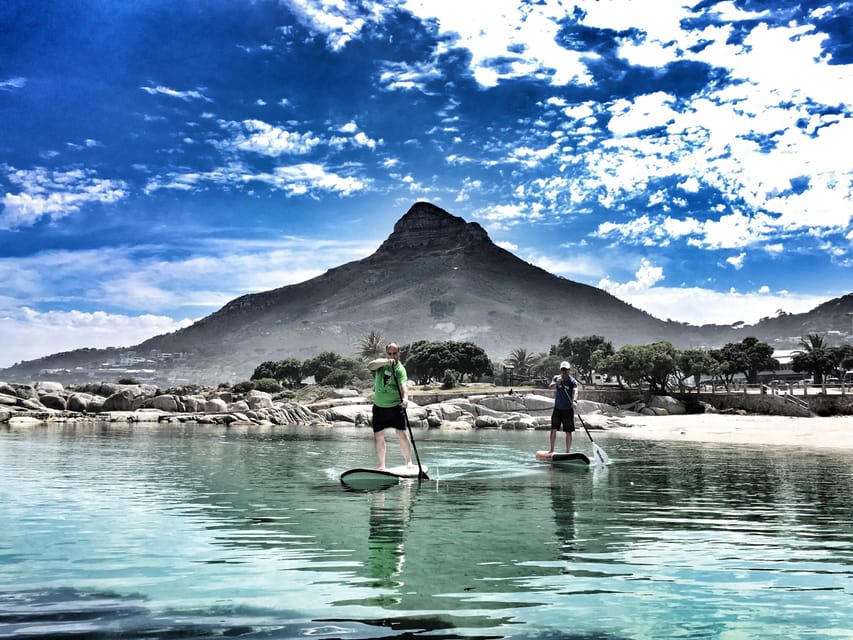 SUP Ocean Tour | GetYourGuide