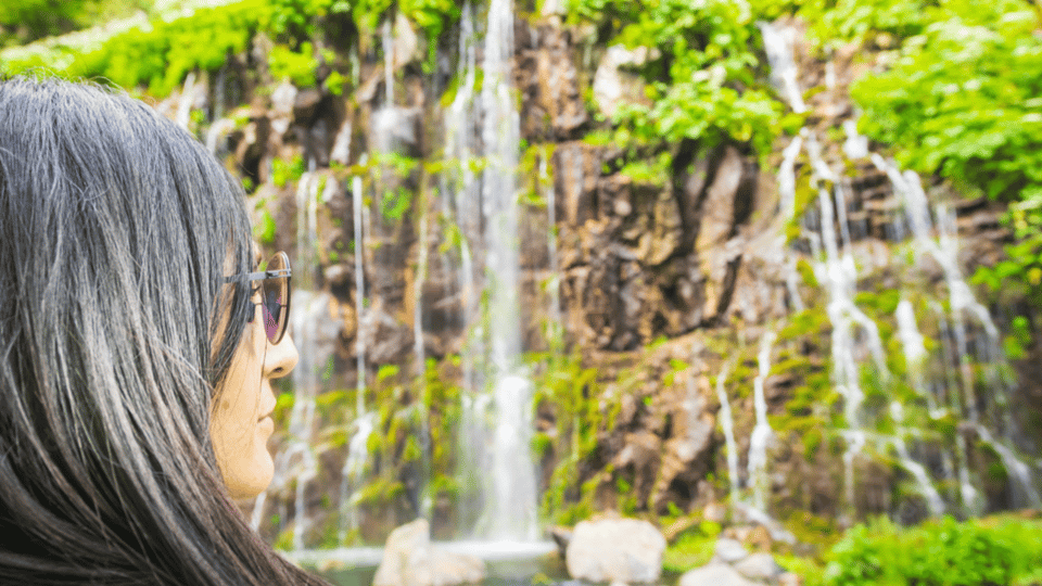 Tbilisi: Dashbashi Canyon & Diamond Bridge Private Tour | GetYourGuide