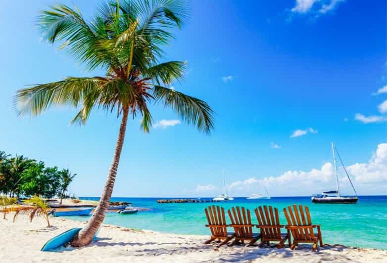 Santo Domingo: Saona Island Catamaran Tour with Lunch & Bar | GetYourGuide