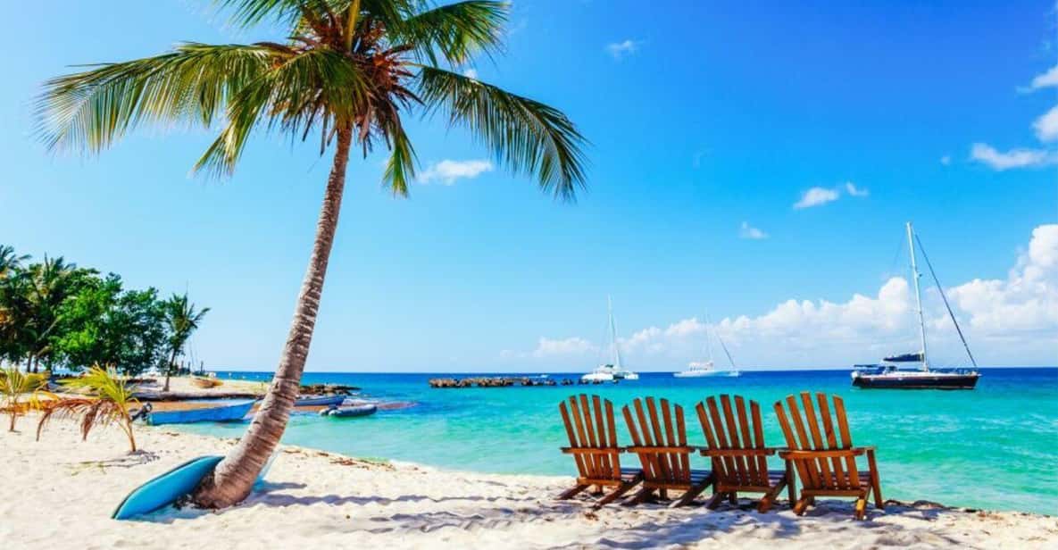 Découvrez l'île Saona, le plus grand port des Caraïbes | GetYourGuide