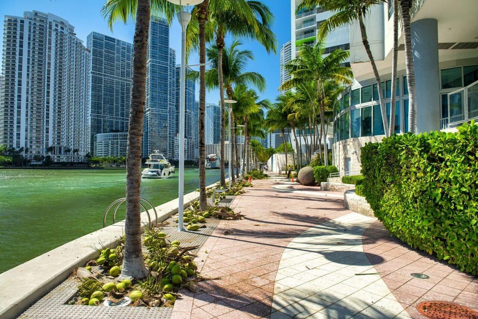 Gems of Miami Downtown Walking Tour | GetYourGuide