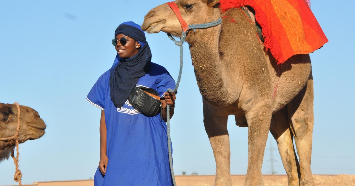 Marrakech : Camel ride in the palm grove with transport | GetYourGuide
