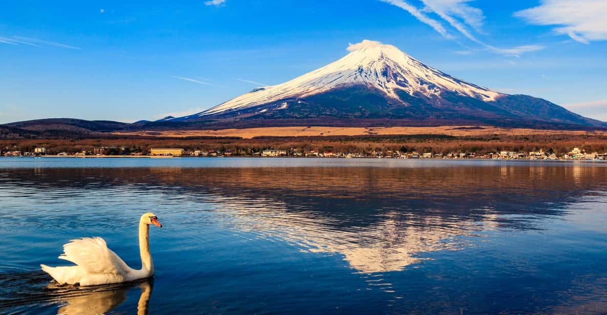 1-dniowa wycieczka: Góra Fuji + okolice jeziora Kawaguchi | GetYourGuide