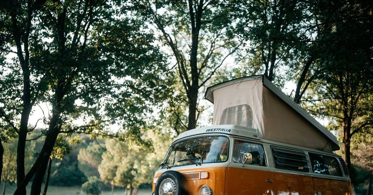 Partez à la découverte de la Provence en combi van ! | GetYourGuide