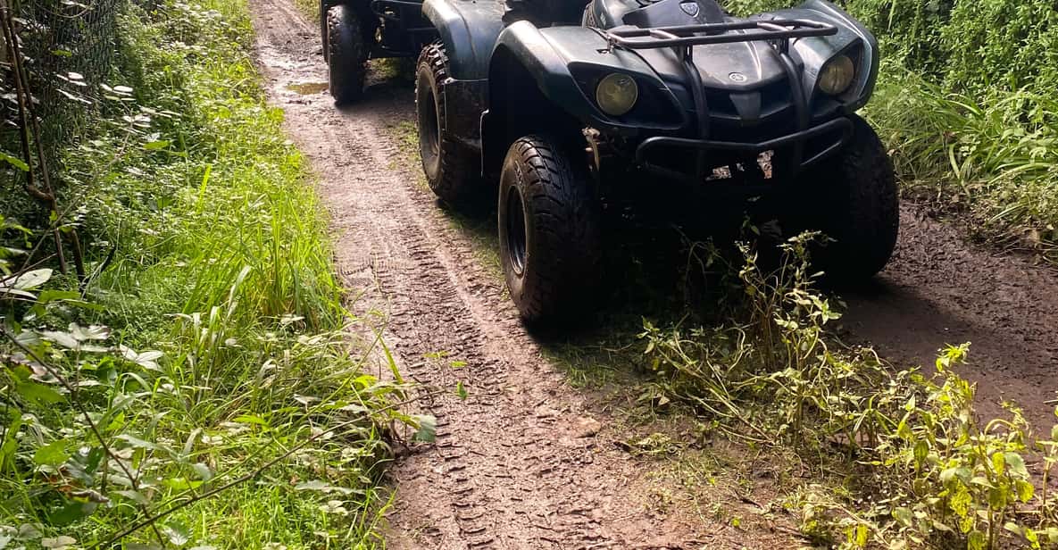 From Madeira: Private Off-Road Quad-Driving Experience | GetYourGuide