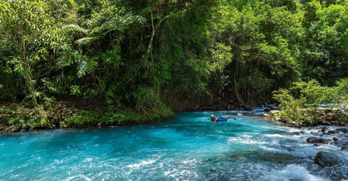 Ticket to Rio Celeste Waterfall & Tenorio National Park | GetYourGuide
