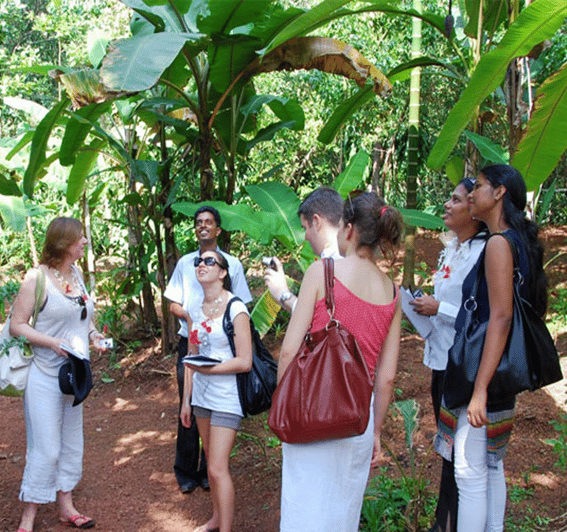 Spice Farm Tour in Zanzibar with Guide | GetYourGuide