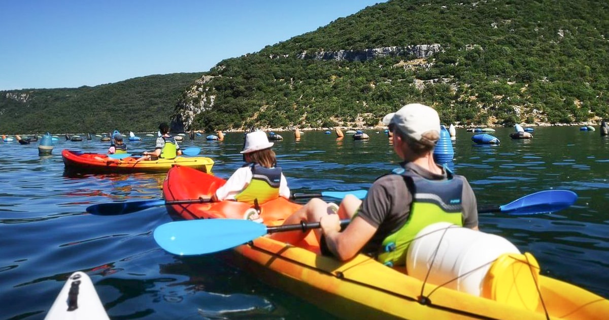 Dari Poreč: Wisata Kayak Laut Teluk Lim | GetYourGuide