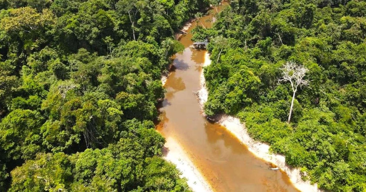 Iquitos: Excursión a Nauta, Laguna de Sapi Sapi y Río Marañón ...