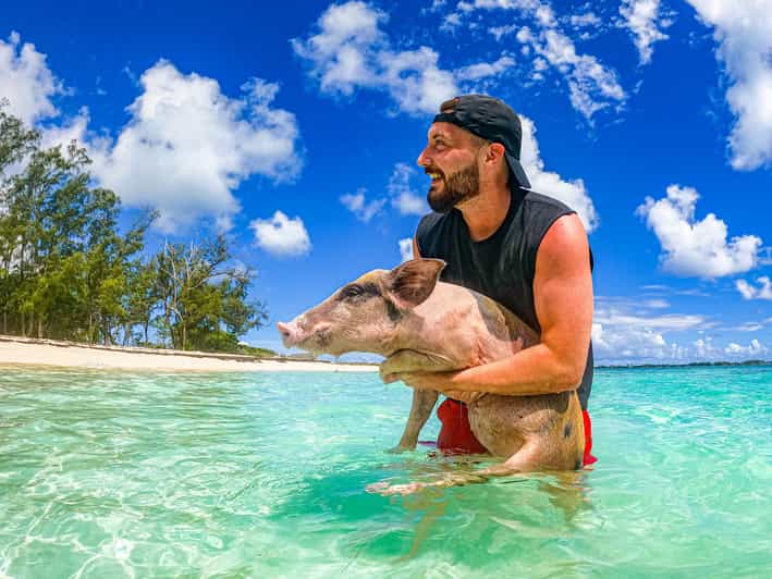 Nassau: Sun Cay and Swimming Pigs Boat Trip with Lunch | GetYourGuide