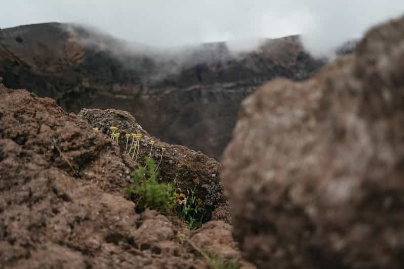 From Naples: Pompeii Ruins & Mount Vesuvius Day Tour | GetYourGuide