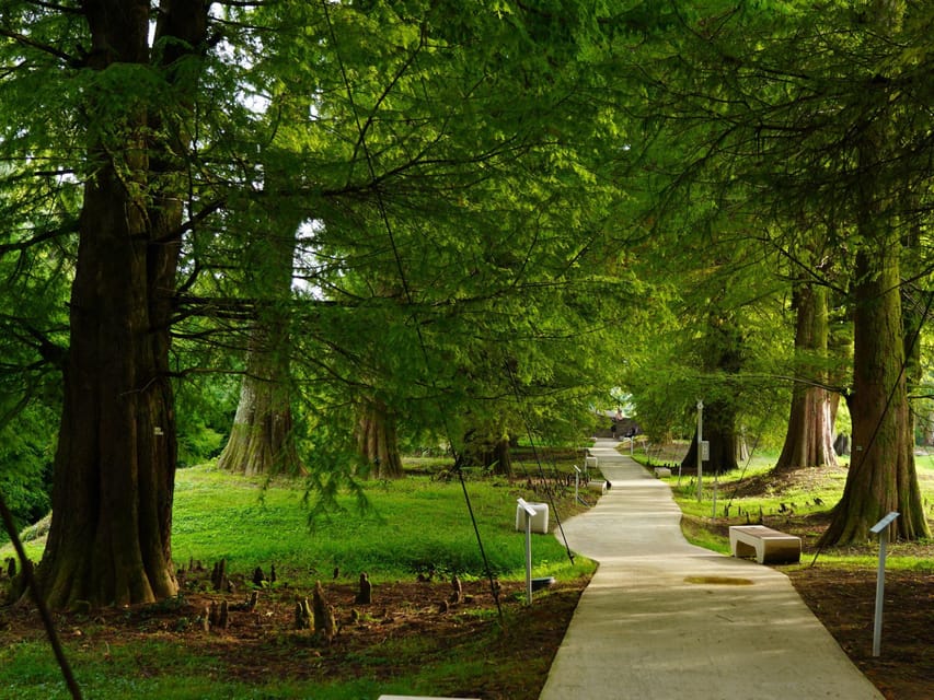 From KUTAISI: fancy Batumi and famous dendrological park | GetYourGuide