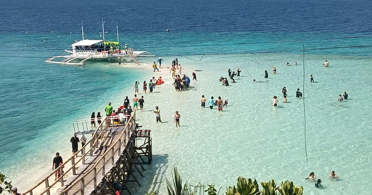 Cebu: Whaleshark Watching, Sumilon Island, and Moalboal… | GetYourGuide