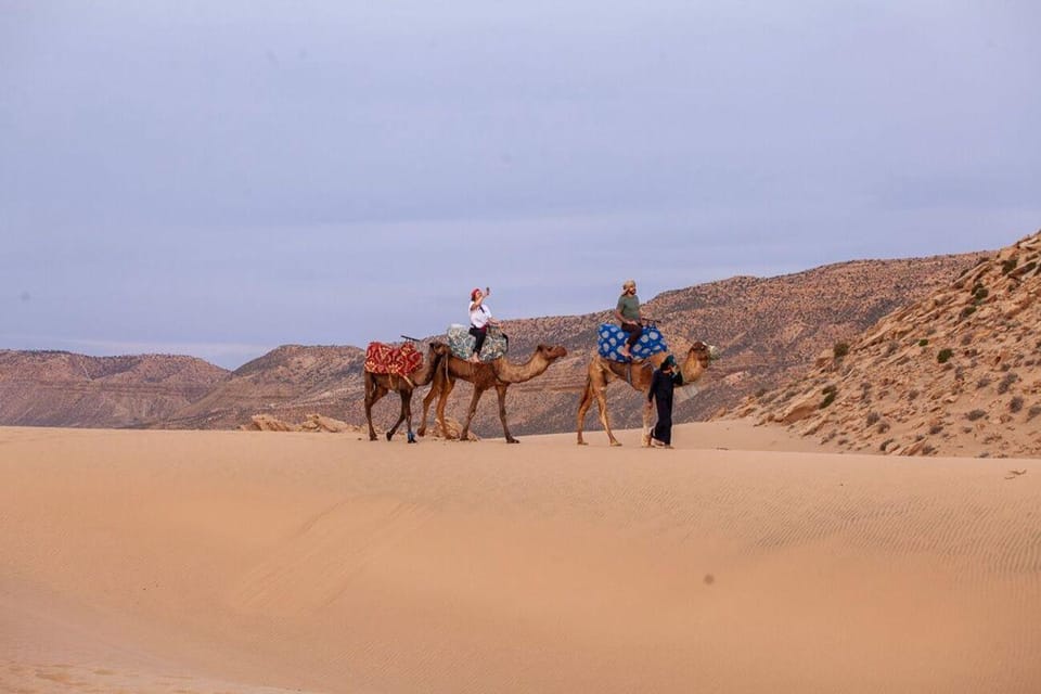 Agadir/Taghazout : Quad Bike Taghazout & Sunset Camel Ride | GetYourGuide