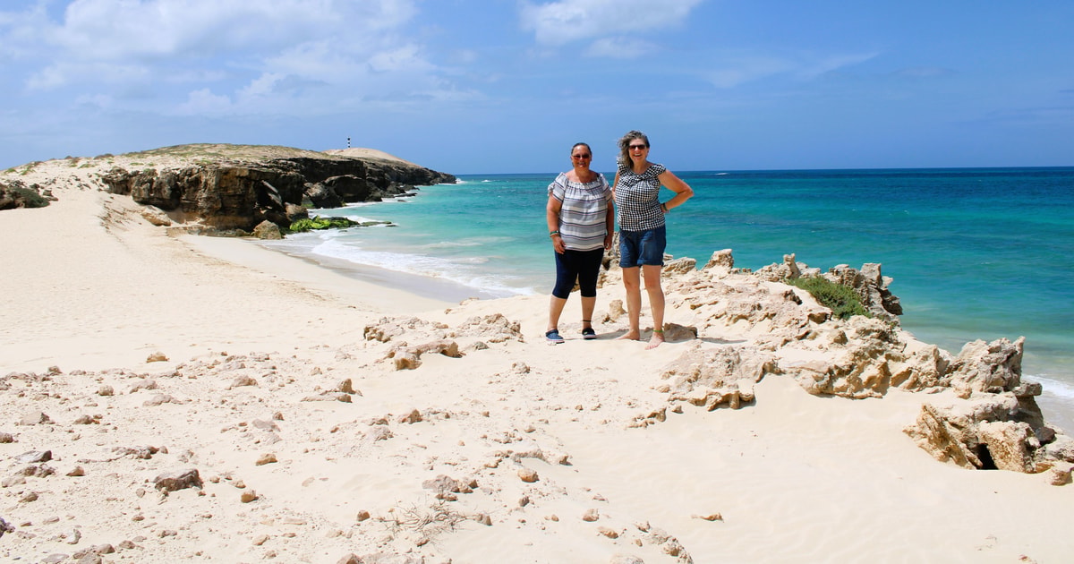 Boa Vista South Tour: Santa Monica, Turtle Bay & Cliffs | GetYourGuide