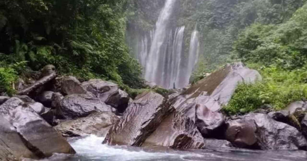 Lombok : Sendang Gila and Tiu Kelep Water Fall Tour | GetYourGuide