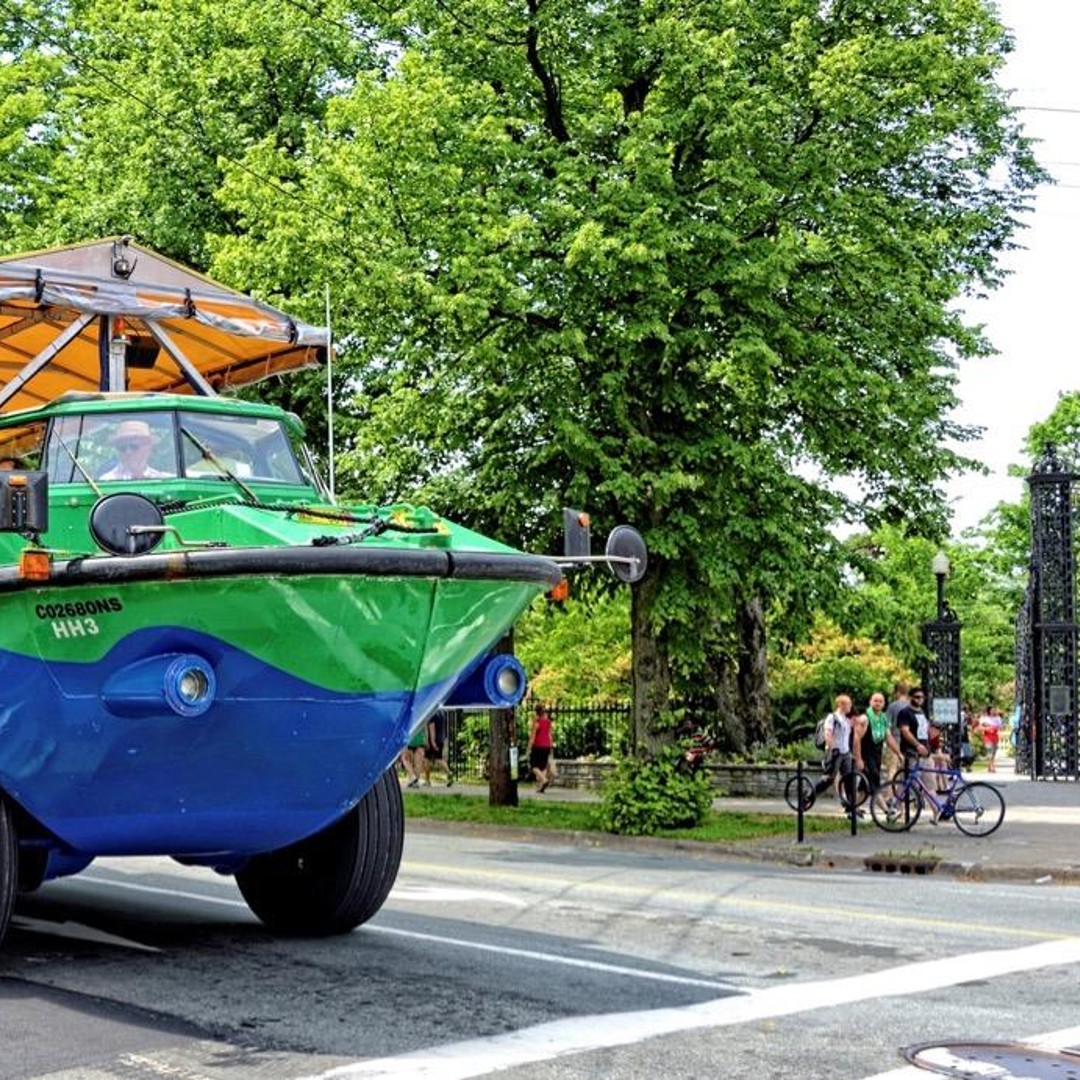 Halifax: Harbour Hopper City & Water Cruise in a Duck Boat | GetYourGuide