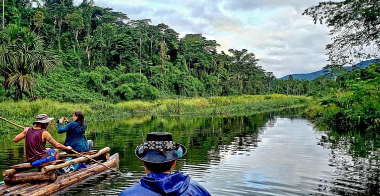 Desde Cusco: Parque Nacional Manu Madre de Dios Perú 7 Días | GetYourGuide