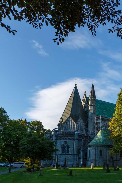 Trondheim: City Highlights Bus and Walking Tour | GetYourGuide