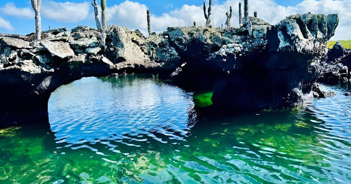 2 ISABELA-ØENS BEDSTE TURE: TINTORERAS-ØEN & TUNELES-KAP | GetYourGuide