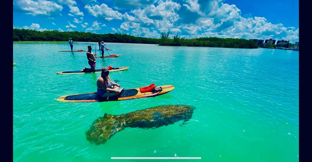 Naples, FL: Guided Standup Paddleboard or Kayak Tour | GetYourGuide