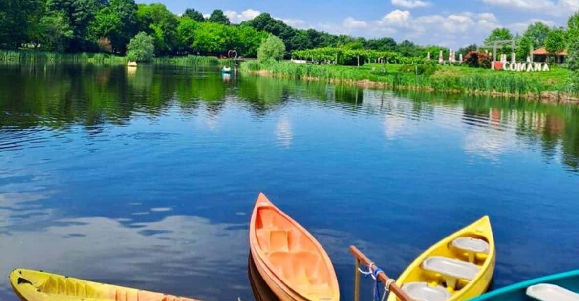 National Village Museum and Comana Adventure Park | GetYourGuide