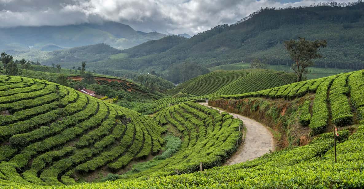 4 Days Kerala Hills and Backwaters Tour | GetYourGuide