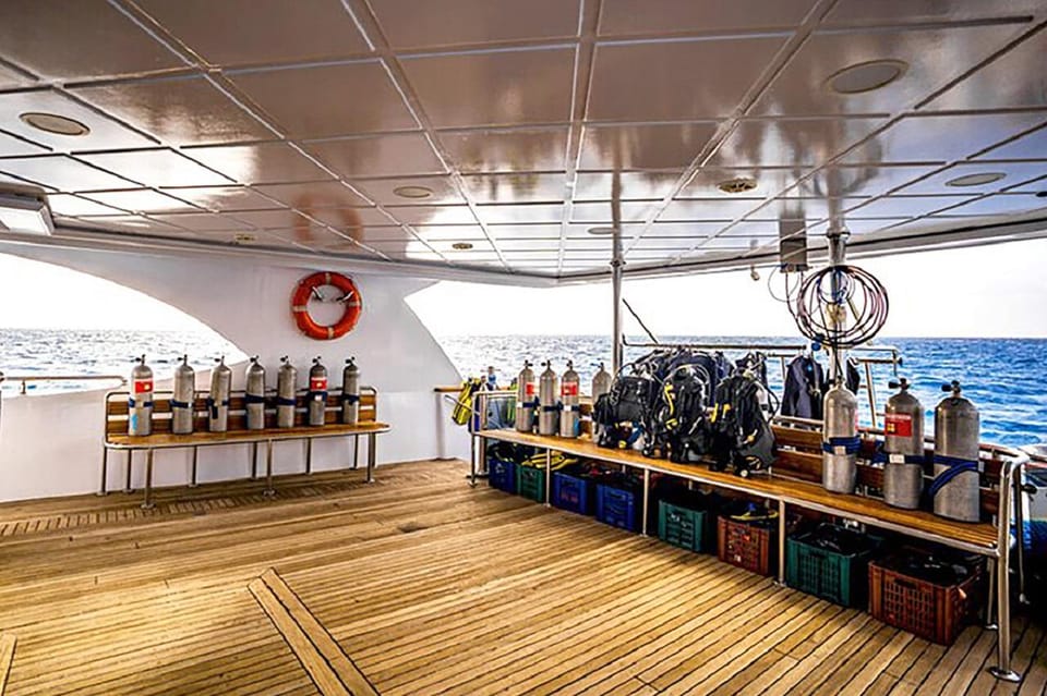 Marsa Alam: Sataya Reefs Dolphin, Snorkeling and Lunch | GetYourGuide