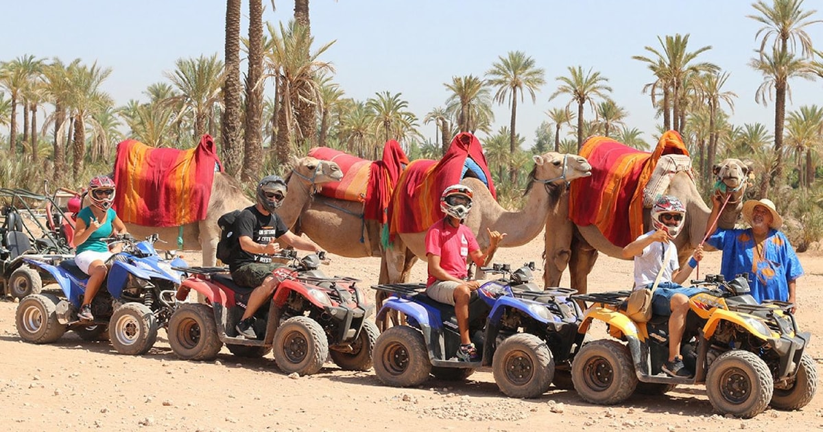 Amazing Quad Ride In The Palm Grove Of Marrakech | GetYourGuide