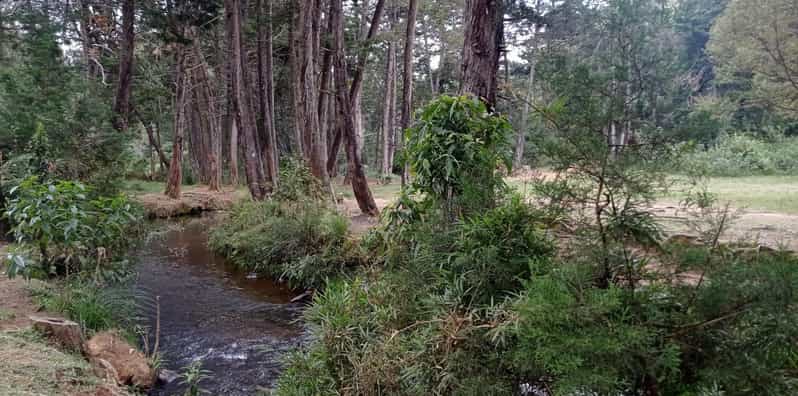 Day Trips from Arví Park, Medellín | GetYourGuide