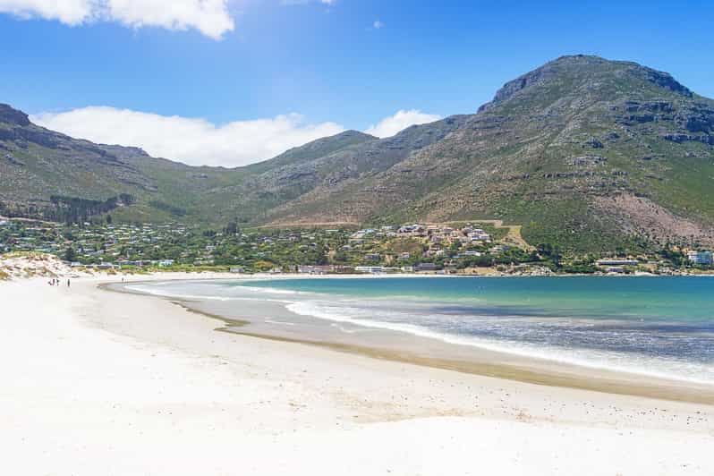 Cape Town: Guided Kayaking in Hout Bay | GetYourGuide