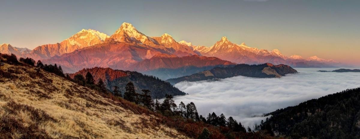Vanuit Pokhara: 5 Daagse Mulde View Point met Poon Hill Trek | GetYourGuide