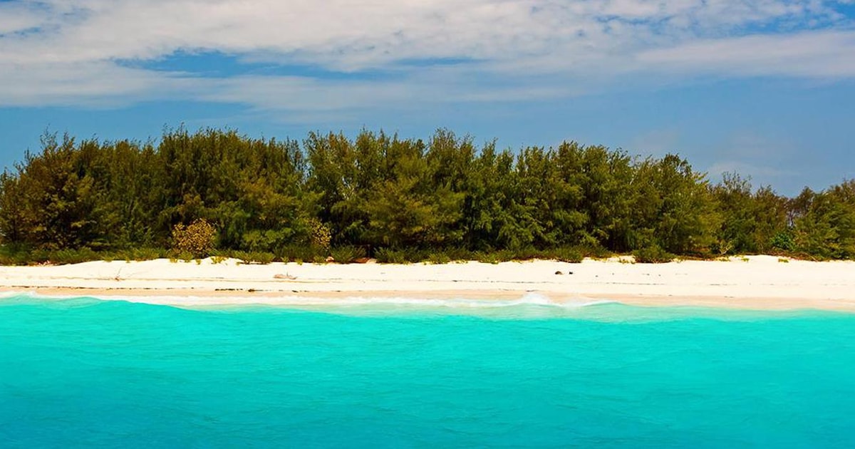 Mnemba-Insel und Delfin-Tour ab Matemwe | GetYourGuide