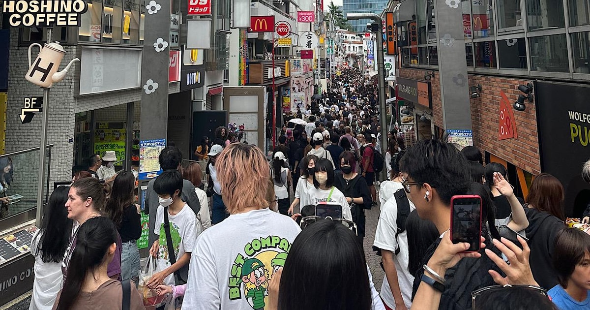 Tokio Haneda - Escala 5 Horas Tour privado | GetYourGuide