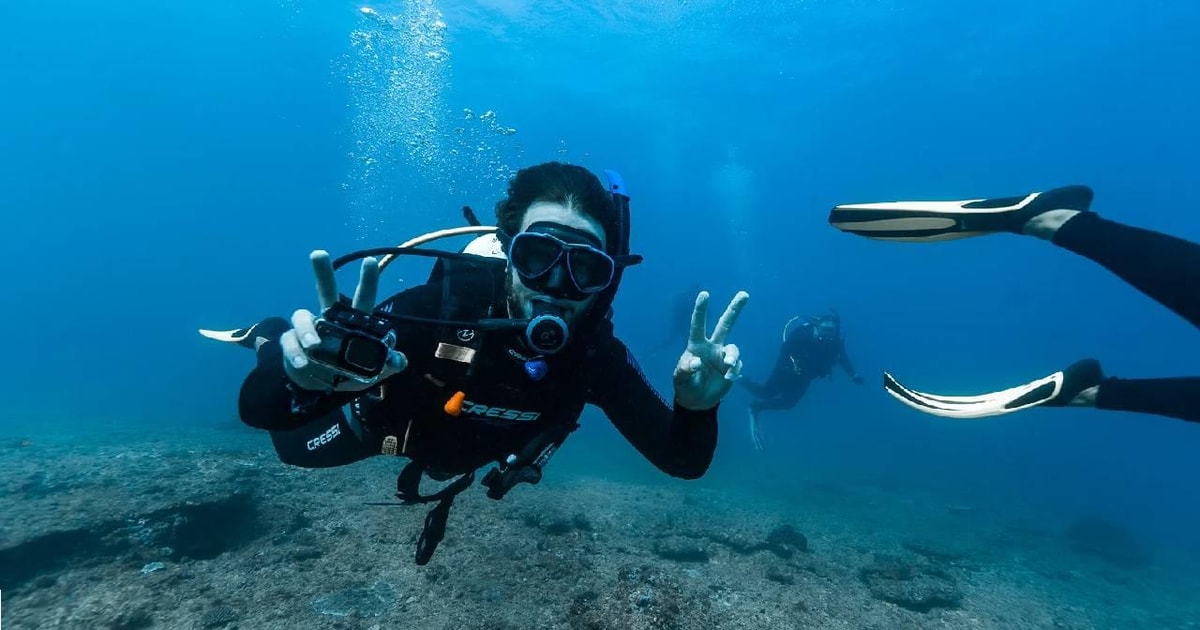 From Sharm El Sheikh: Sharks Bay Scuba Diving Trip | GetYourGuide