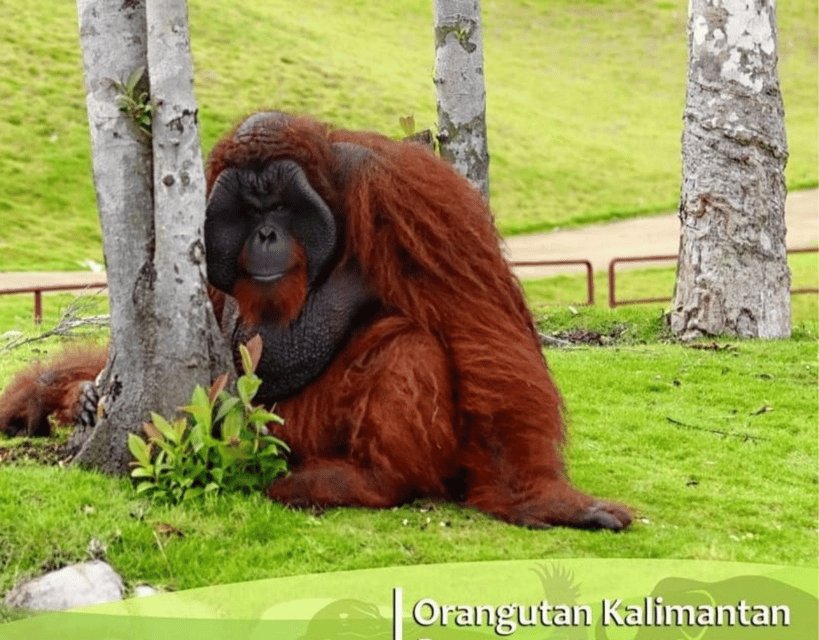 Safari Lagoi & Eco Farm Bintan | GetYourGuide